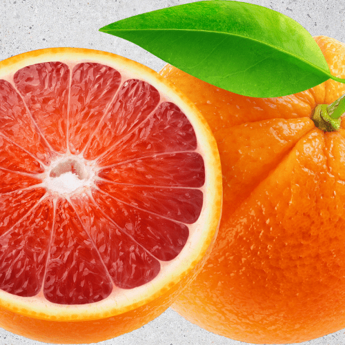 Orange Tree Cara Cara , 3-4 Ft Indoor/Outdoor Fruit Tree- Also Known As ...