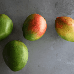 Mango Trees Archives - Just Berry Plants