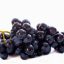 Grape Vines Archives - Just Berry Plants
